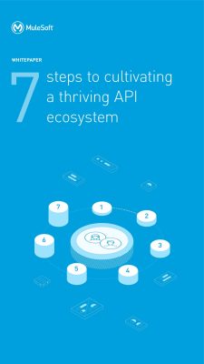 7 Steps to Cultivate A Thriving API Ecosystem | DemandTalk