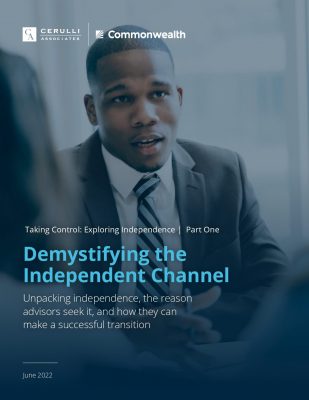 Demystifying the independent channel Whitepaper | TechDemand